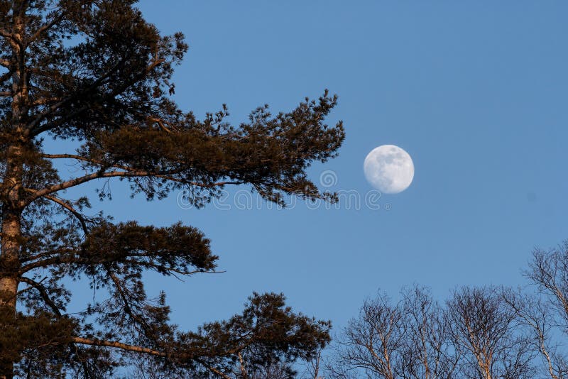 Winter Moon Picture. Image: 1916379