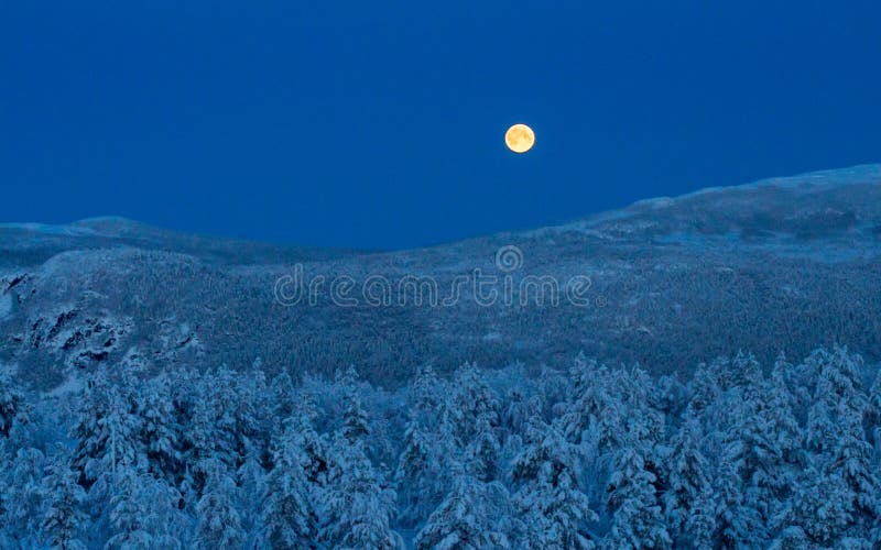 Winter moon stock image. Image of moonlight, fullmoon - 28551379