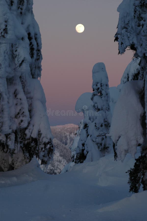 Winter Moon stock image. Image of landscapes, trees, landscape - 4171313