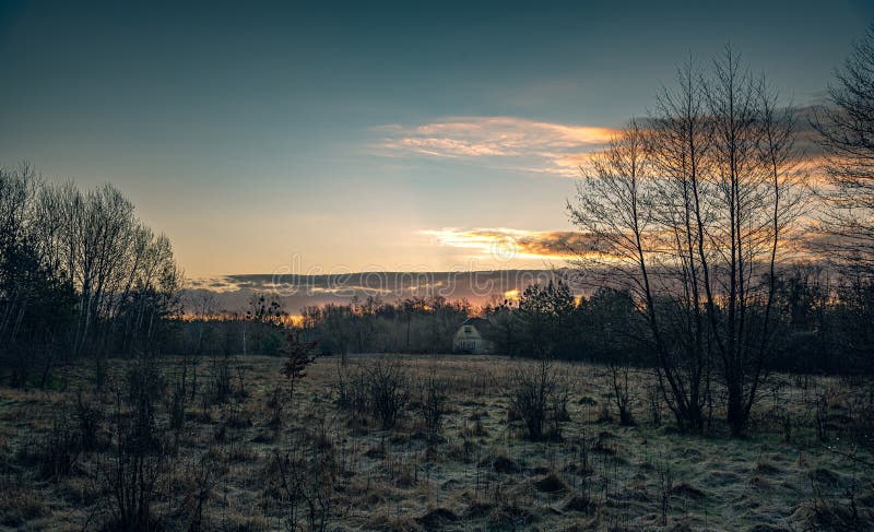 Winter moring among fields stock photo. Image of nature - 209081076