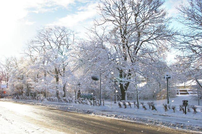 Winter morning stock image. Image of historic, snow, canada - 11066827