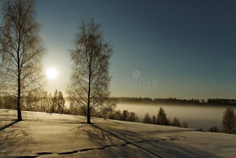 Winter morning. stock image. Image of horizon, dusk, postcard - 25807969
