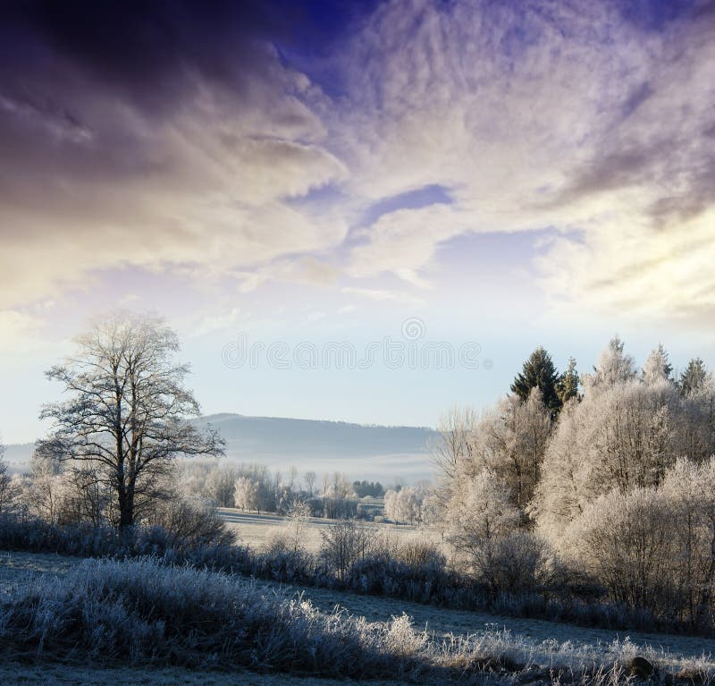 A Winter Morning with a Beautiful Sunrise Stock Image - Image of ...