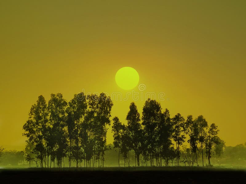 Winter morning Bangladesh stock photo. Image of morning - 228946902