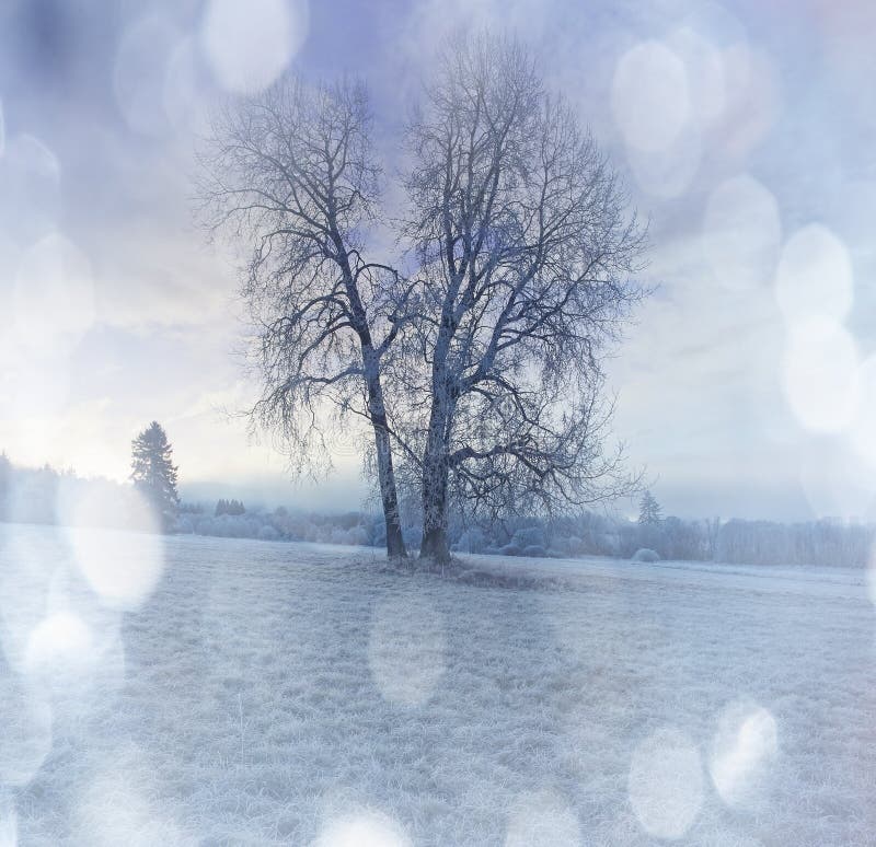A Winter Morning with a Beautiful Sunrise Stock Image - Image of ...