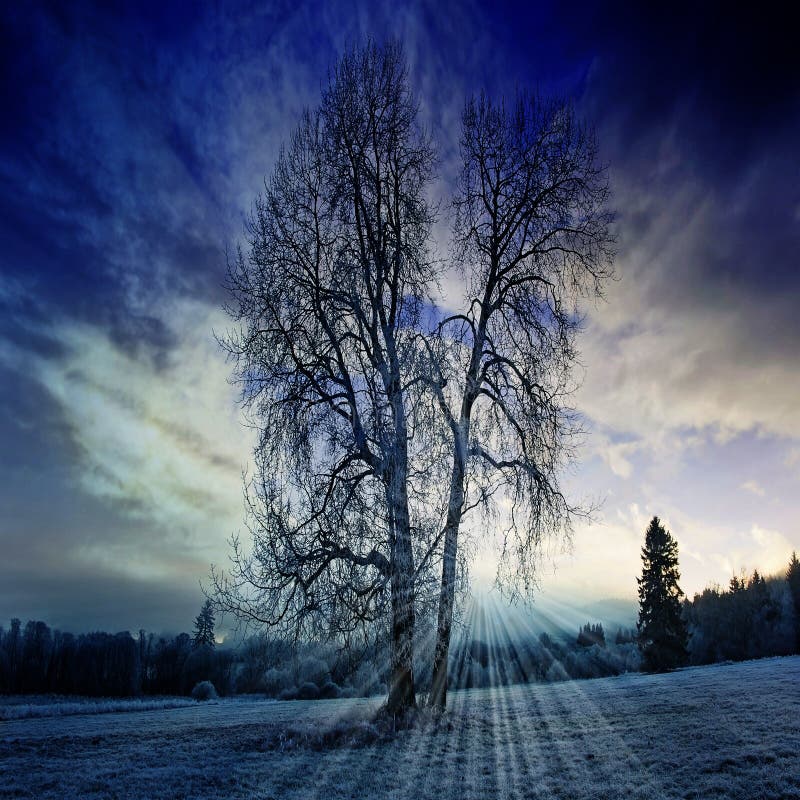 A Winter Morning with a Beautiful Sunrise Stock Image - Image of ...