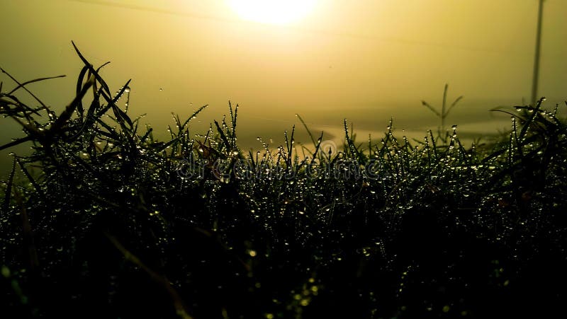 Winter Morning Beauty in Bangladesh Stock Image - Image of peaceful ...