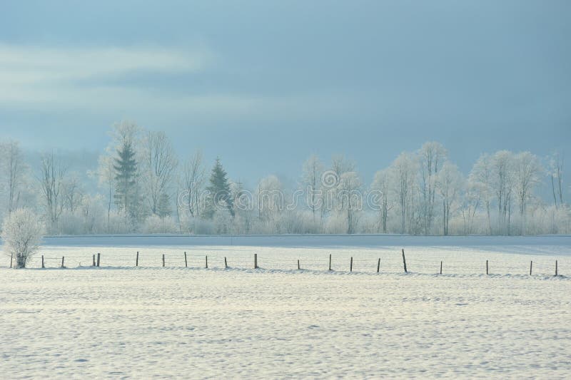 Frozen dew morning melt stock image. Image of autumn - 102732055