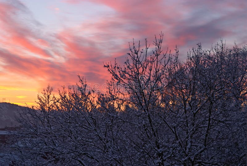 Winter morning, dawn stock photo. Image of colourful, frozen - 361168