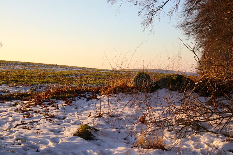 Winter Morning with Snow in February O Cold Stock Photo - Image of ...