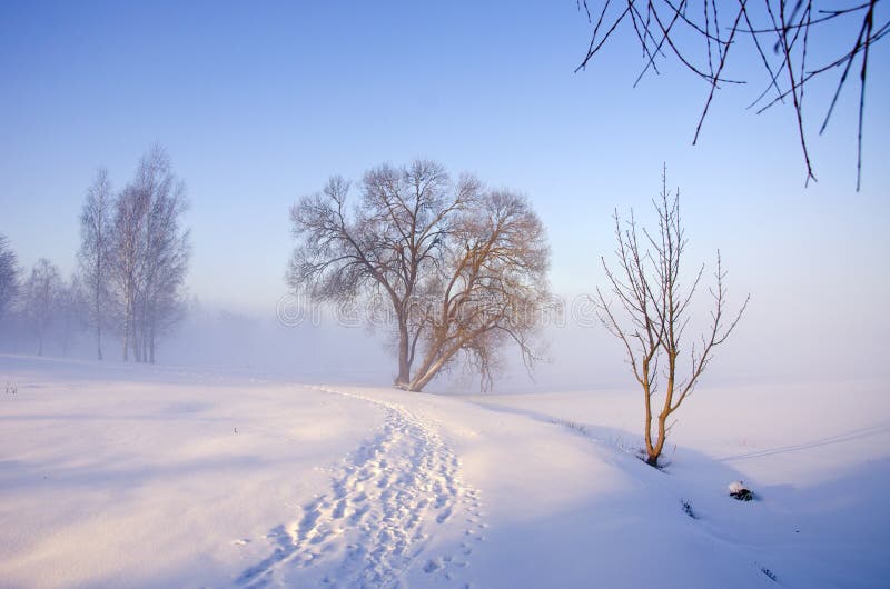 Winter Morning Landscape with Fog Stock Photo - Image of snow, view ...
