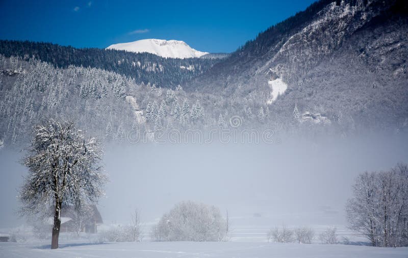 Winter morning stock image. Image of snowy, scene, alps - 34568461