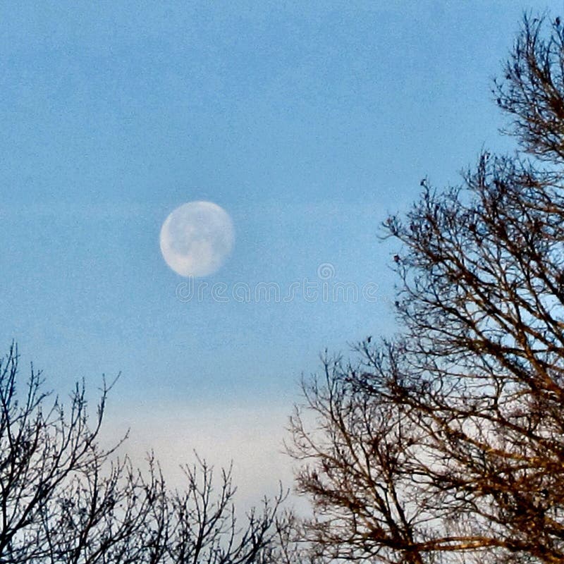 Winter morning moon editorial photography. Image of moon - 50474442