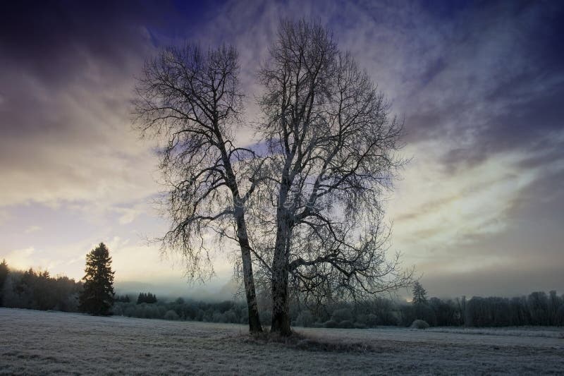 A Winter Morning with a Beautiful Sunrise Stock Image - Image of ...