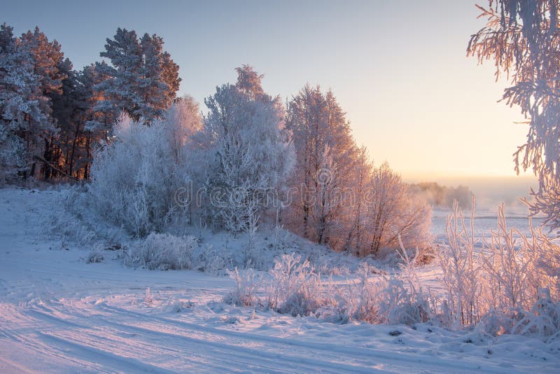 Winter Morning Nature Landscape in Sunlight on January Stock Photo ...