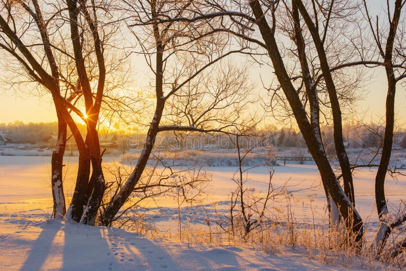 Winter Morning with Snow and Frost Stock Image - Image of north ...
