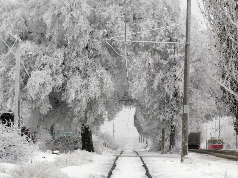 Winter Morning after Snowfall Stock Photo - Image of white, path: 135004424