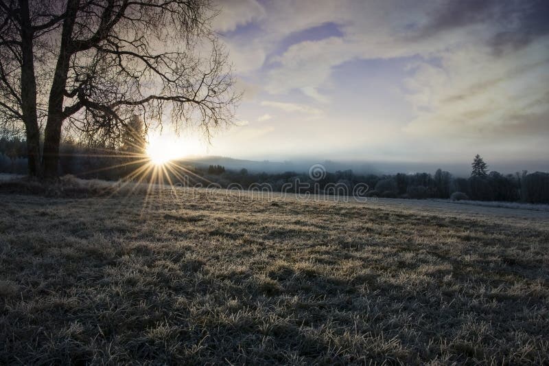 A Winter Morning with Sun Rays Stock Photo - Image of covered, forest ...