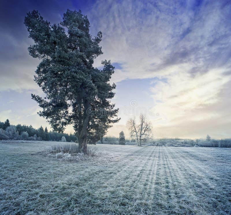 A Winter Morning with a Beautiful Sunrise Stock Image - Image of ...