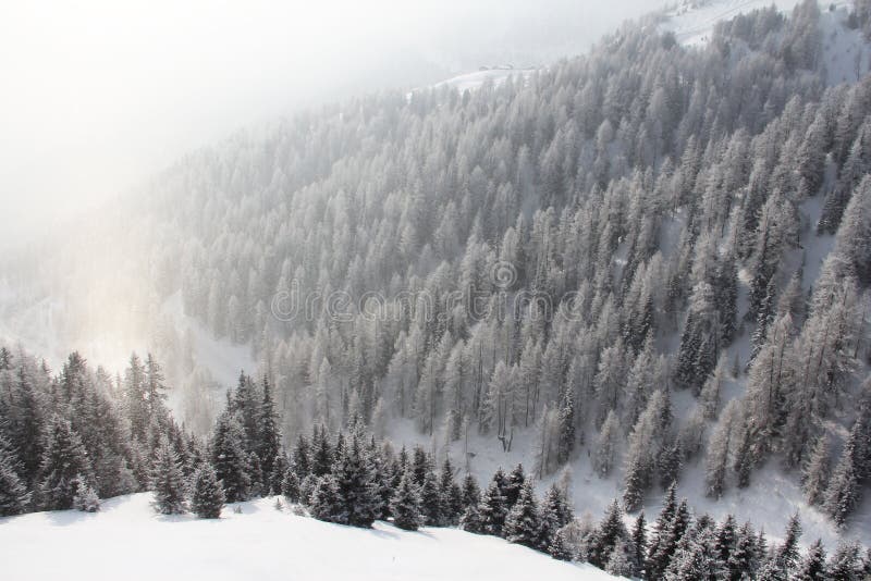 Quiet Winter Snowy Landscape Stock Photo - Image of coldish, drift ...