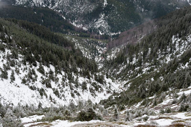 Winter Mountain Forest Panorama Foggy Day Stock Image - Image of ...