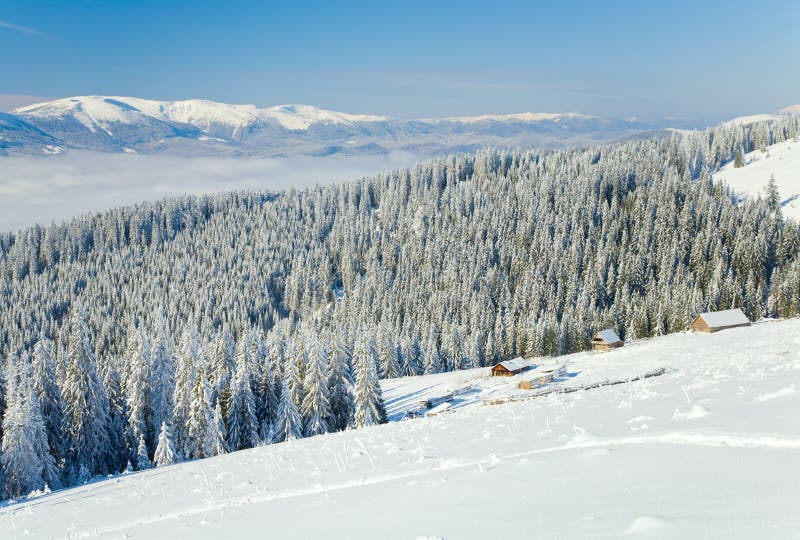 Quiet Winter Snowy Landscape Stock Photo - Image of coldish, drift ...