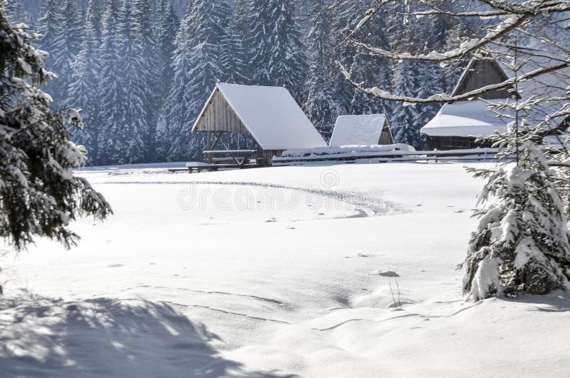 Winter Mountain Landscape with Falling Snow Stock Image - Image of ...