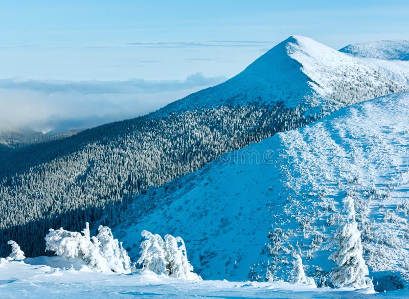 Winter Mountain Landscape with Snowy Trees Stock Image - Image of ...