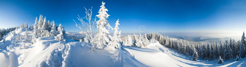 Winter mountain panorama stock image. Image of spruce - 16047023