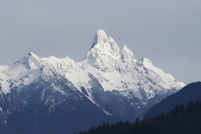 Winter Mountain Peak Canada Stock Image - Image of mount, canada: 13033943