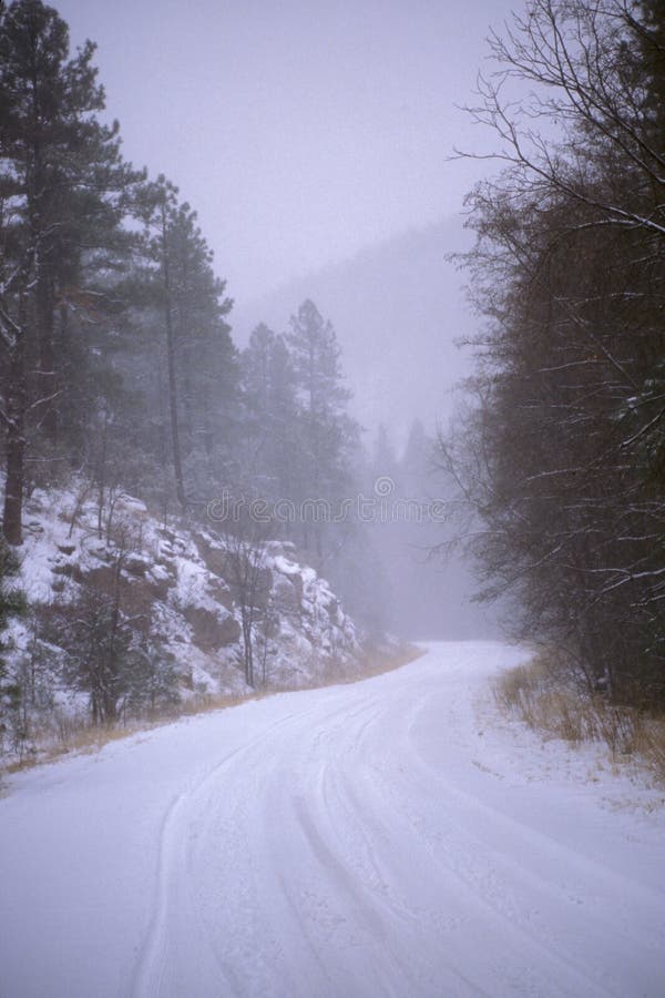 Winter Mountain Road Gila National Forest Stock Image - Image of chains ...