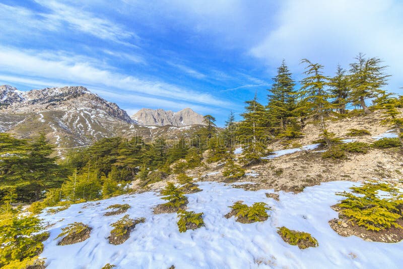 Tikejda stock image. Image of algerian, algeria, brave - 110388063