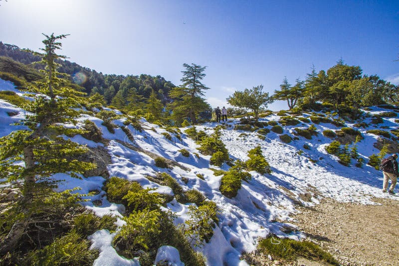 Tikejda editorial photography. Image of africa, calm - 110375827