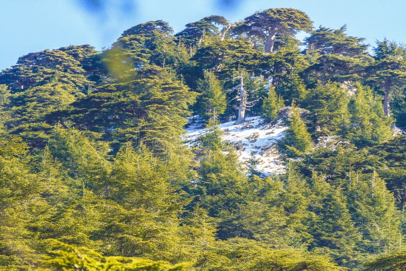 Tikejda stock photo. Image of brave, alpinist, cloud - 110380750