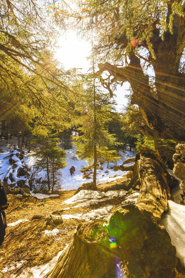 Tikejda editorial stock image. Image of natural, algerian - 110386734