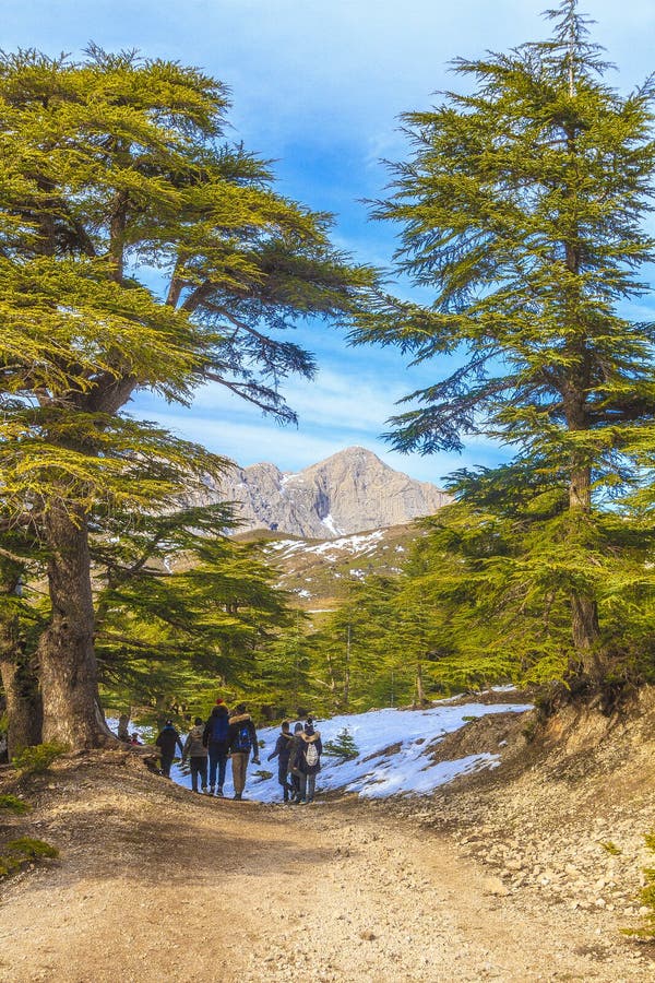 Tikejda Stock Photos - Free & Royalty-Free Stock Photos from Dreamstime