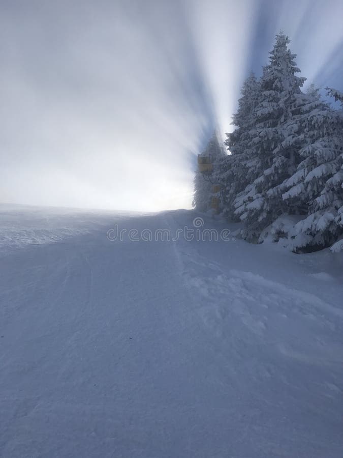 Snow trees sky stock image. Image of mountain, trees - 103740621