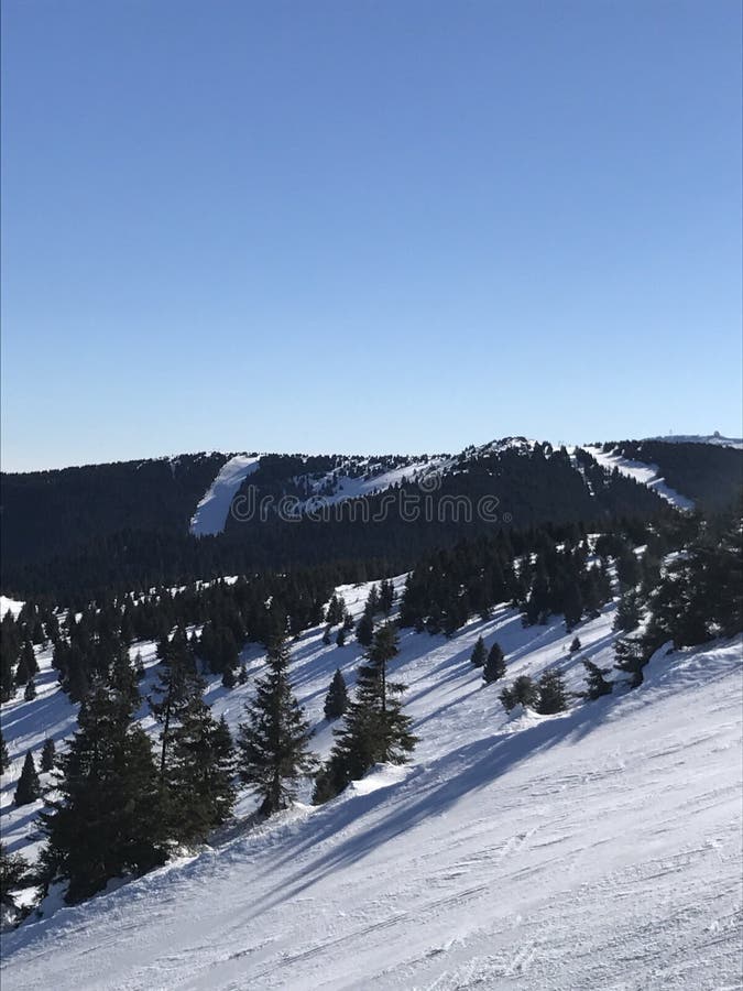 Snow trees sky stock photo. Image of winter, tree, mountain - 103740632