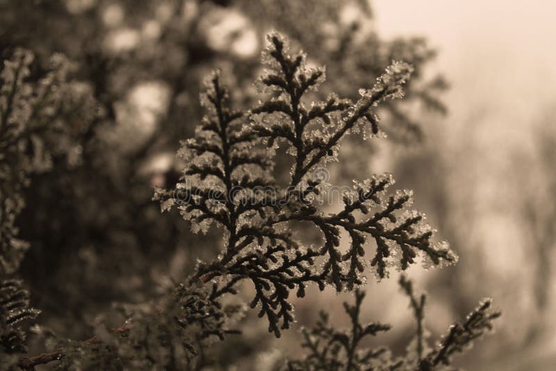 Winter stock photo. Image of europe, photographer, canon - 83640672