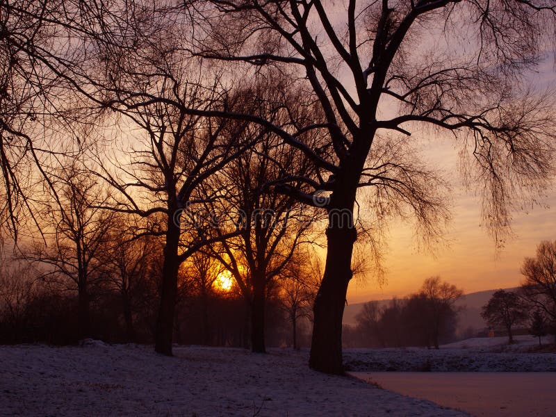 Winter nature stock photo. Image of sunny, freeze, sunset - 31875346