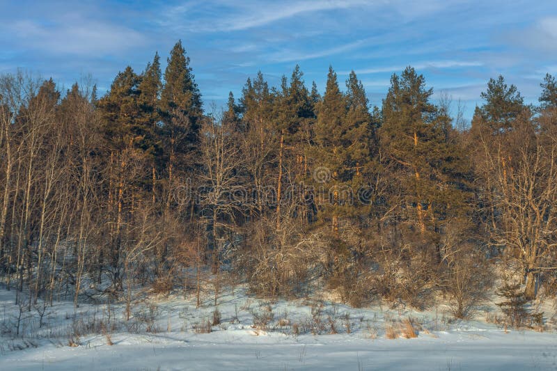 Winter Nature in the Russian Countryside Stock Photo - Image of skyline ...