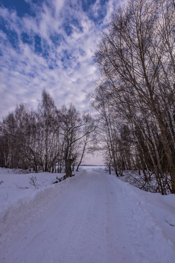 Winter Nature in the Russian Countryside Stock Photo - Image of snow ...