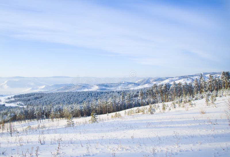 Winter nature of Siberia stock image. Image of blanket - 66399463