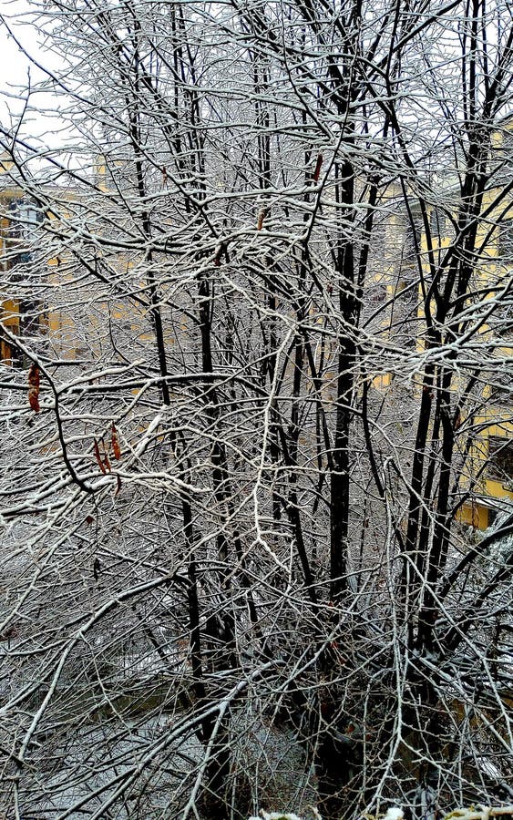 Winter, Nature and Snow, Ice and Enchantment Stock Photo - Image of ... Winter, Nature and Snow, Ice and Enchantment Stock Photo - Image of ...