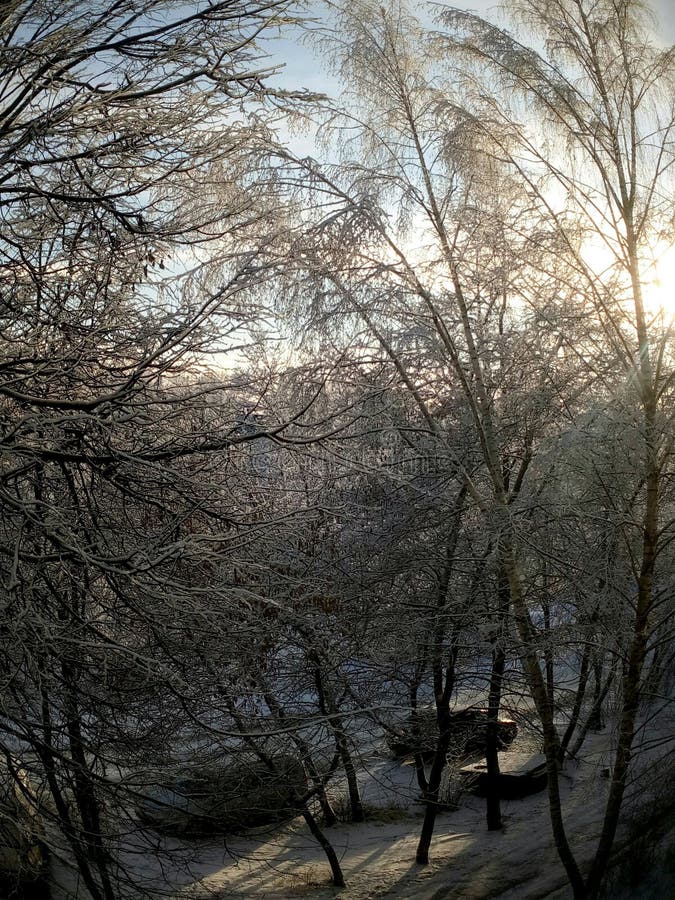 Winter Nature, View from the Window, Stock Image - Image of view ...