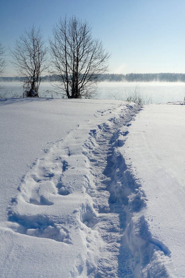 Winter nature, way in snow stock image. Image of hoar - 123760875