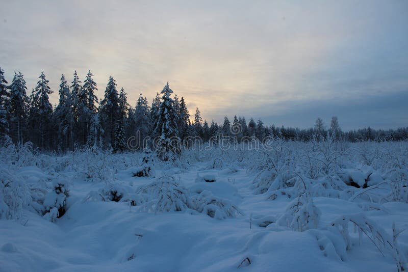 Winter stock image. Image of wilderness, beautiful, atmosphere - 95093847