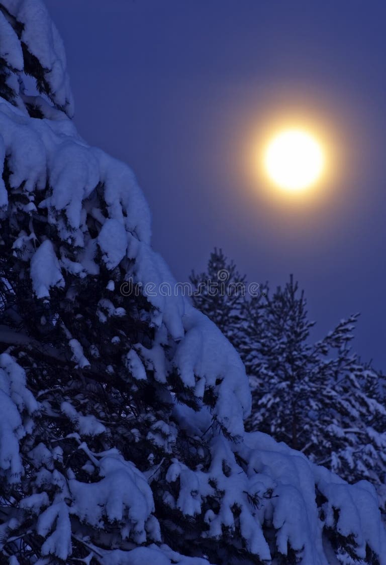 34,005 Winter Night Wallpaper Stock Photos - Free & Royalty-Free Stock ...