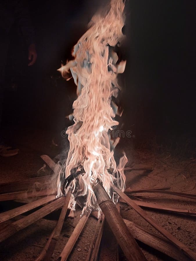 Winter Night Bamboo Fire Field Stock Photo - Image of fire, night ...