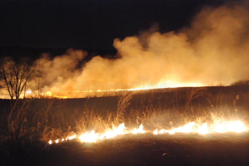 A Controlled Burn in a Winter Woods Stock Image - Image of outdoors ...